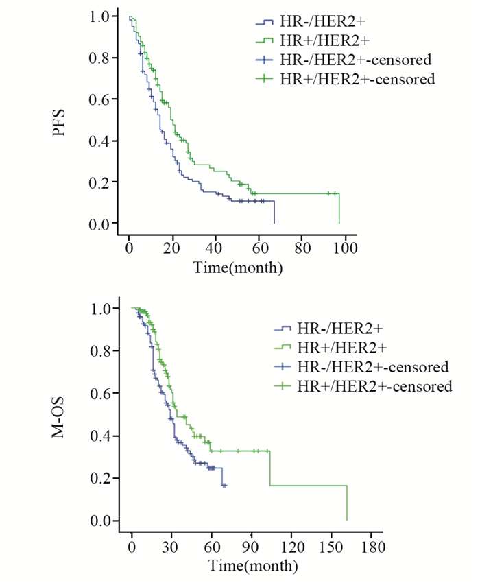 HER2阳性晚期乳腺癌复发转移特征及生存分析