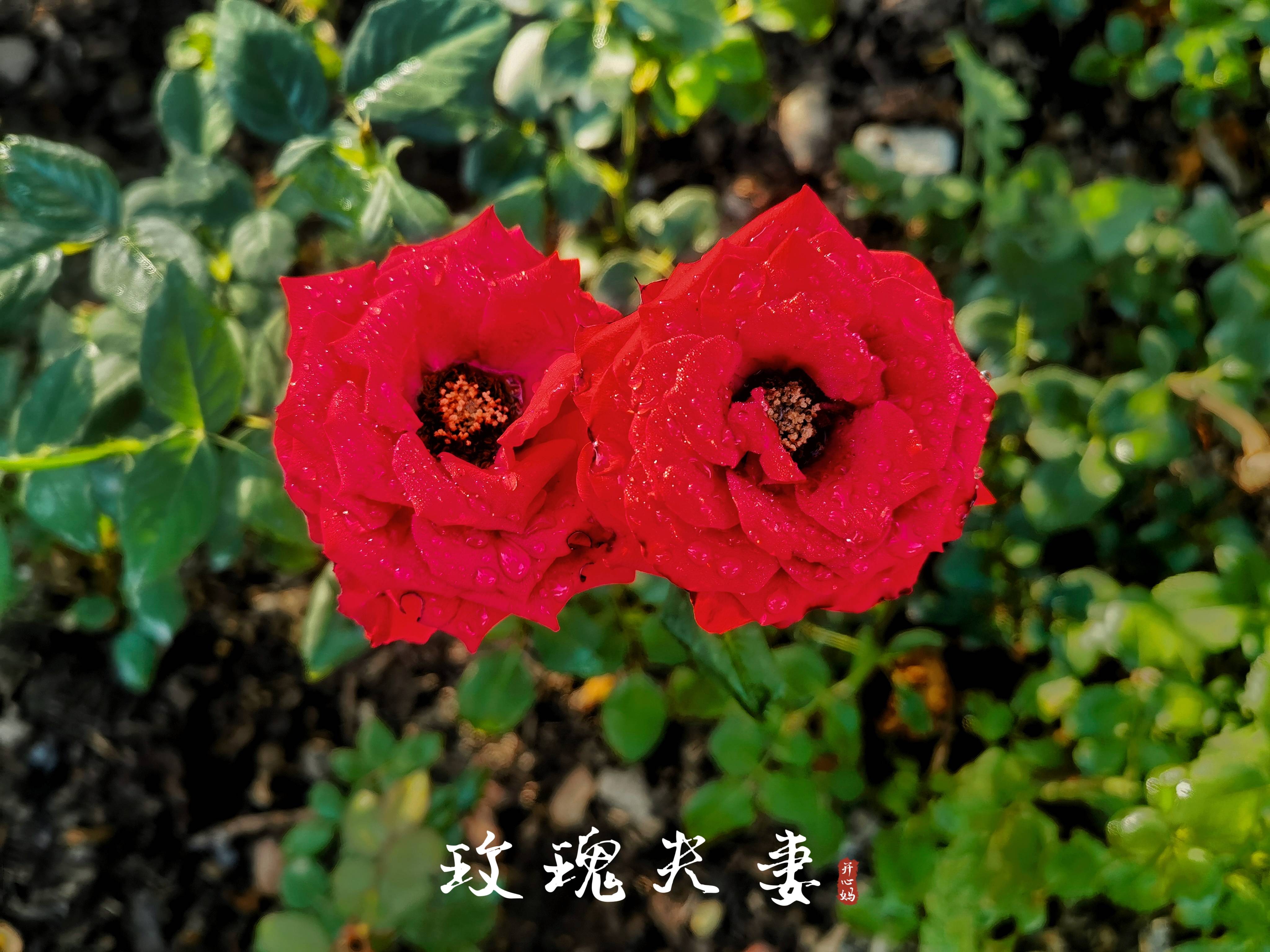 生活就像一场没有剧本的电影,每天小日子小生活小美好